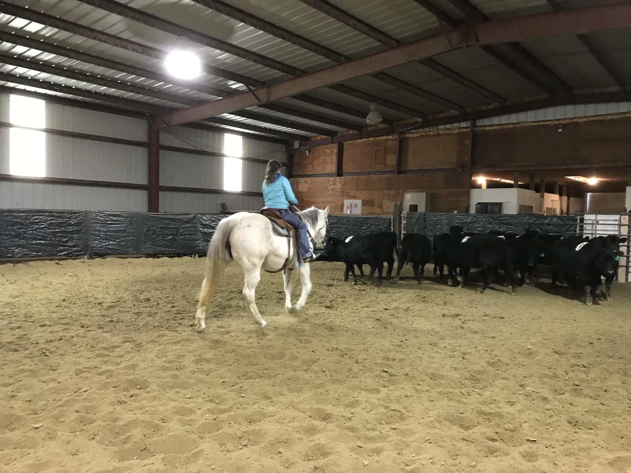 Round Robin Team Sorting Competition - Cody Journal