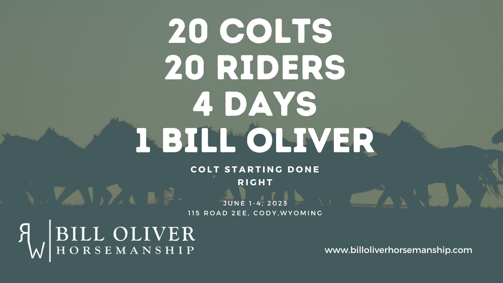 Bill Oliver Colt Starting + Horsemanship - Cody Journal