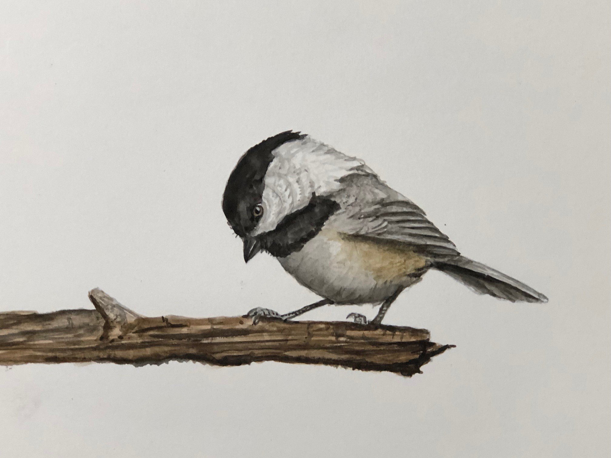 Paint Realistic Watercolors – with Steve Leonardi - Cody Journal