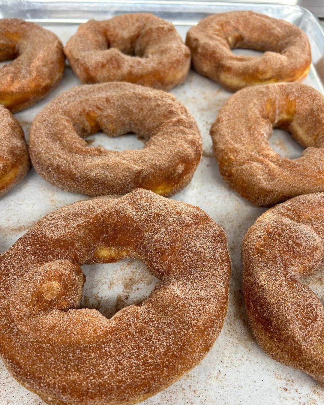 Yoder's Donuts - Cody Journal