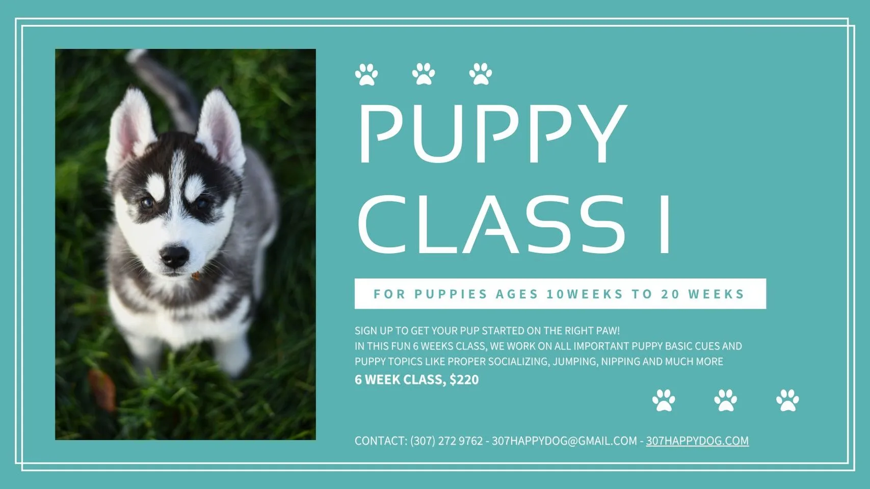 Puppy Class I - Cody Journal