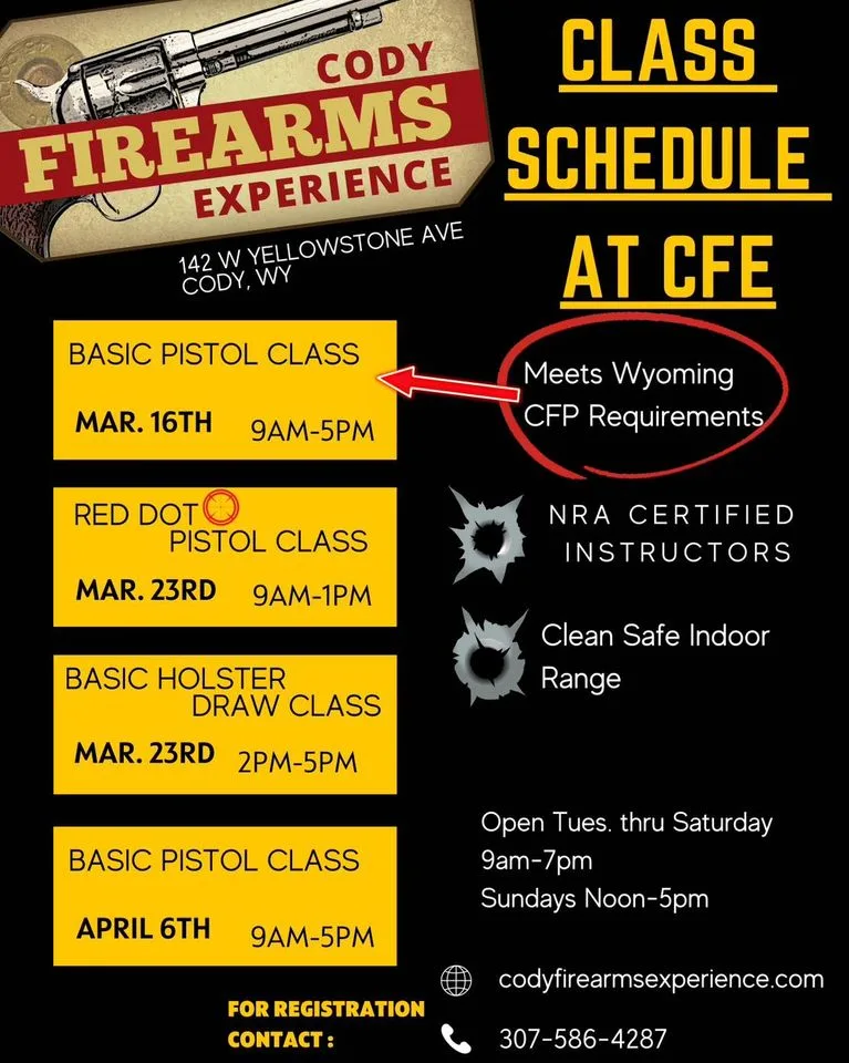 Red Dot Pistol Class & Basic Holster Draw Class - Cody Journal