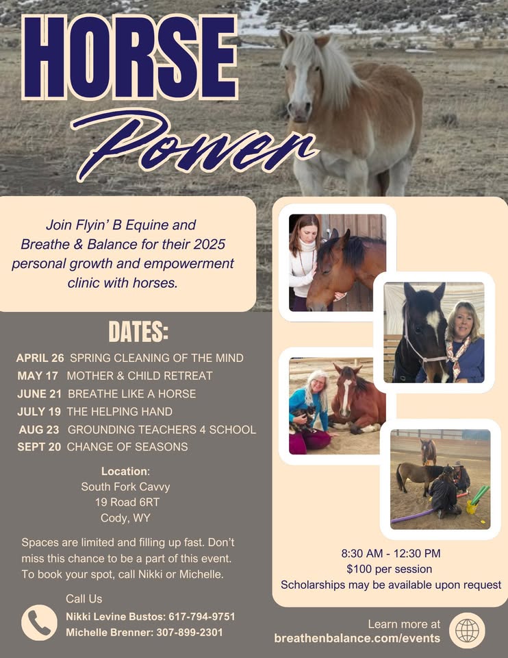 Horse Power - Cody Journal